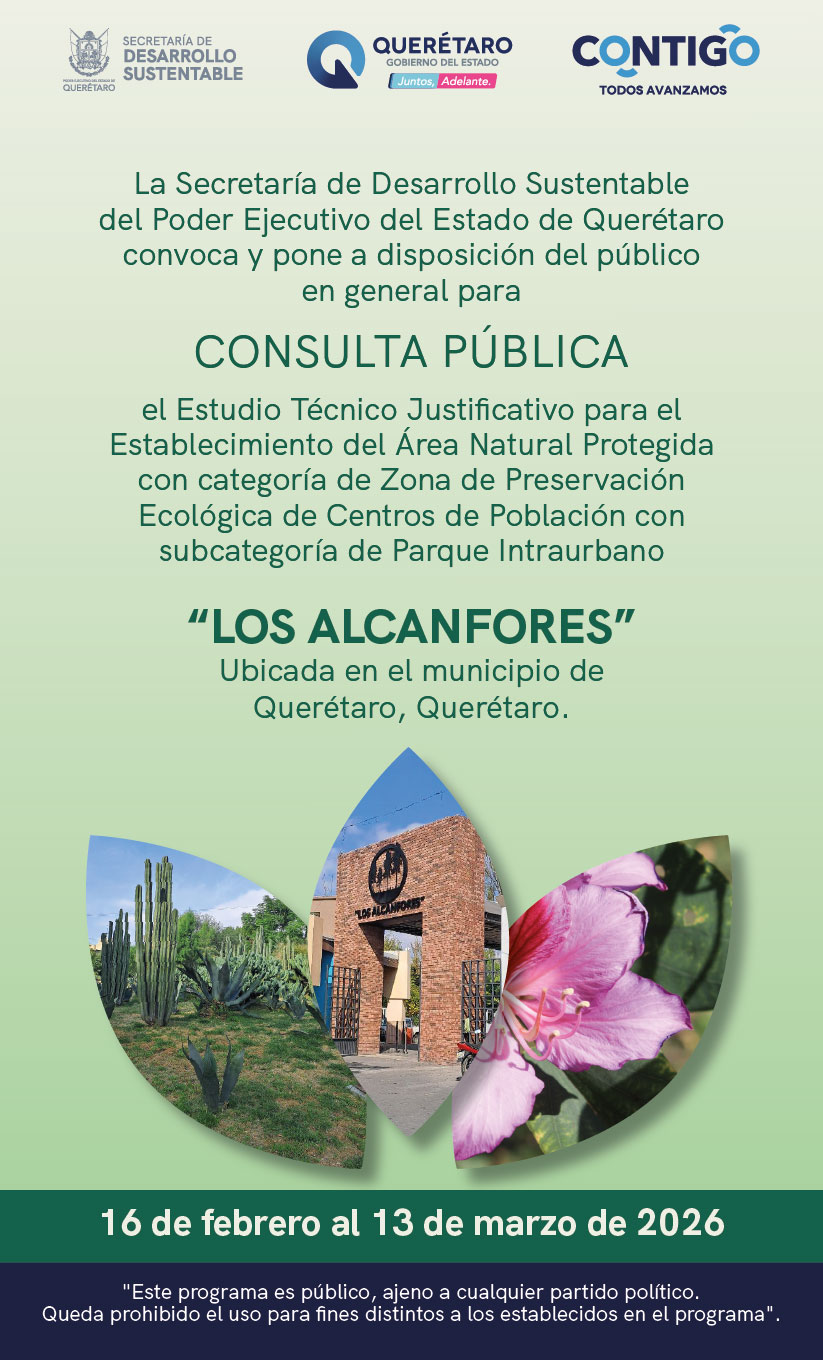 SEDESU abre consulta pública para decretar el Parque Los Alcanfores ...